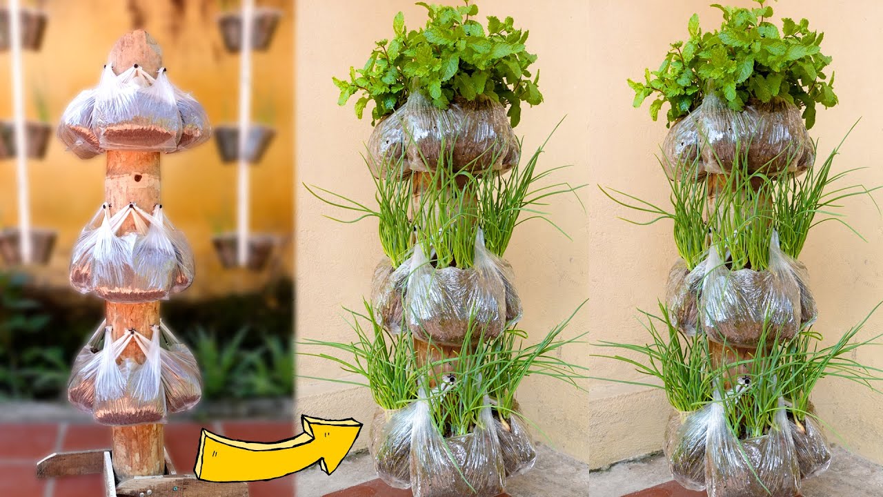 Growing Onions & Mint at Home, Best Idea for Small Spaces, Vertical ...