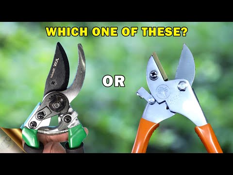 WHICH PRUNER TO CHOOSE AND FOR WHAT? | 8 TYPES OF TRIMMERS OR CUTTING ...