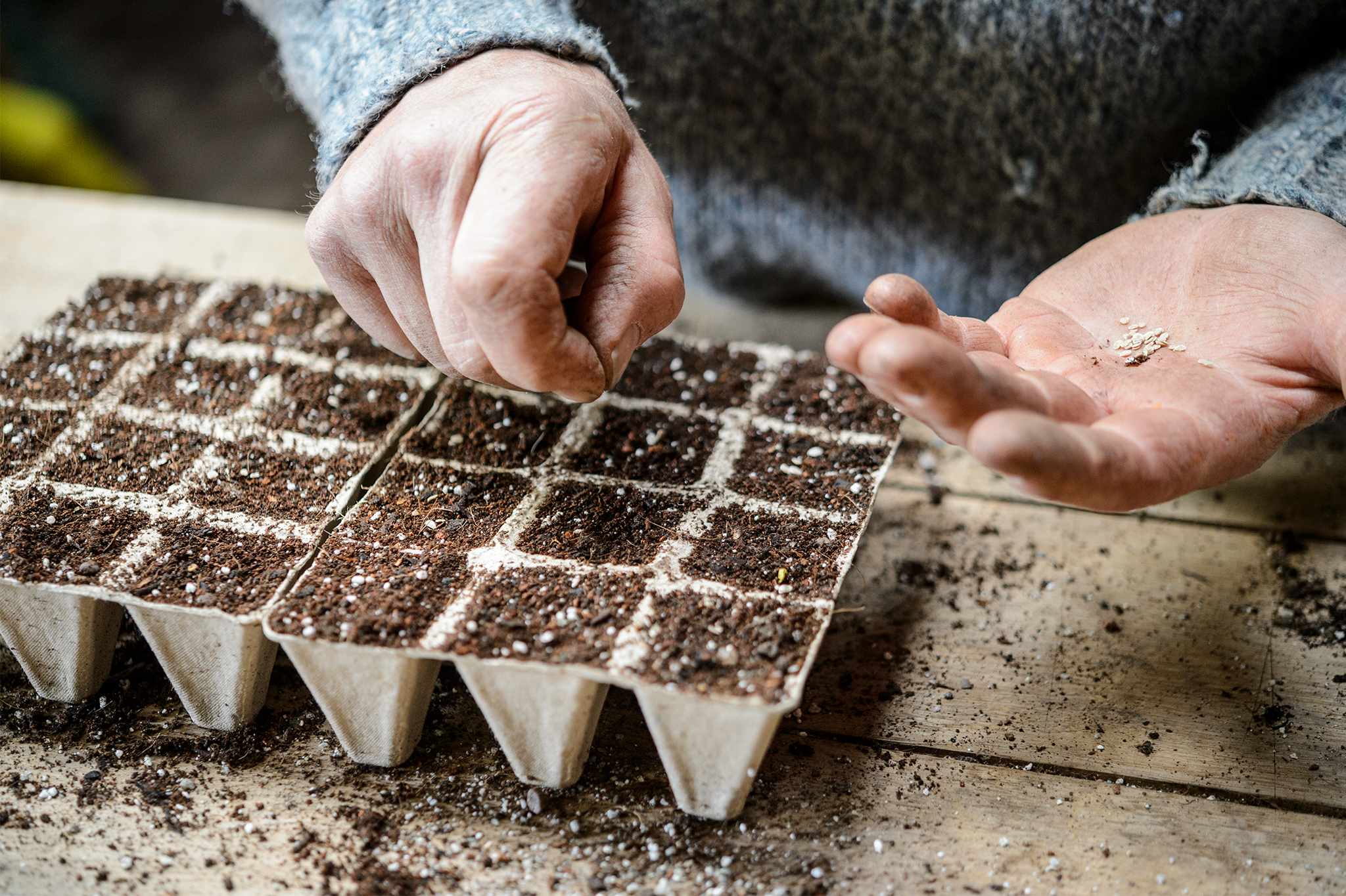 March seed sowing with Monty – Learnorganicgardening.com