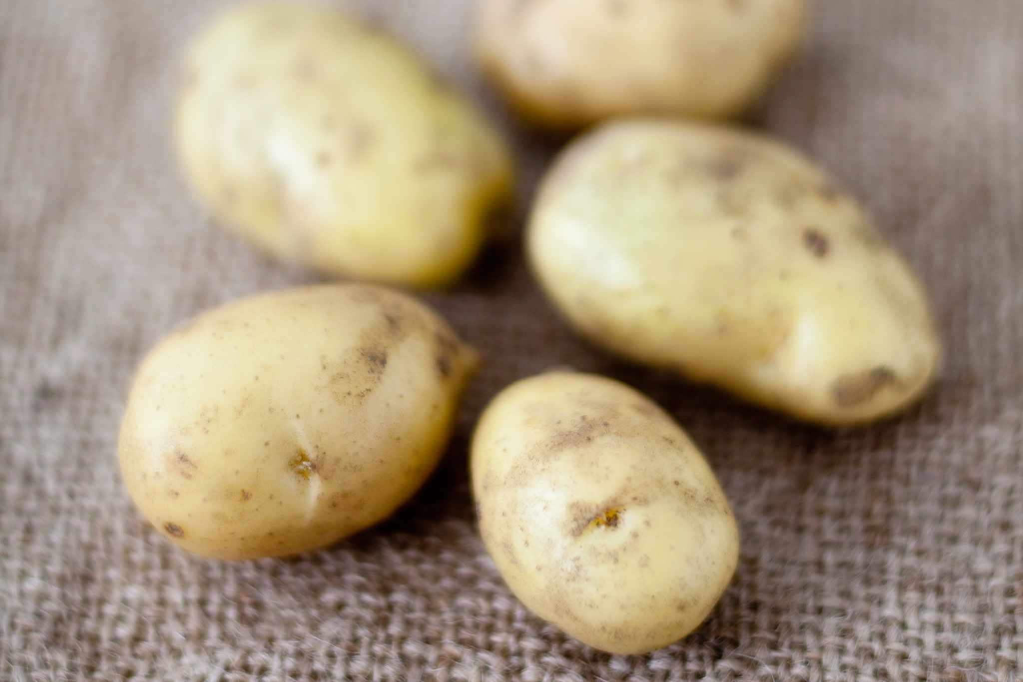 Potato types explained – Learnorganicgardening.com